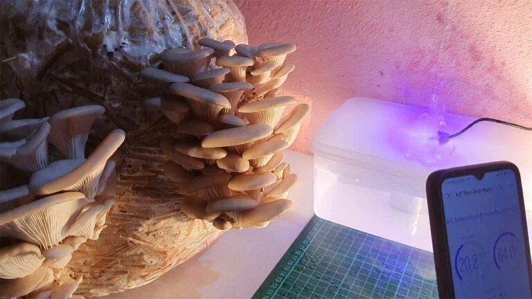 IoT Temperature & Humidity Monitoring & Control System using ESP32 ...